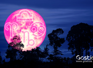 The Thought Catalogs | All Zodiac Signs, Relationship, Personality ...